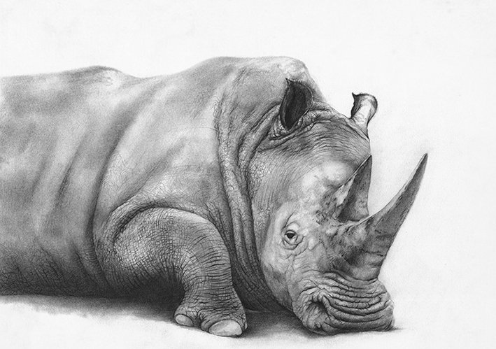 Andrew Howells Artist