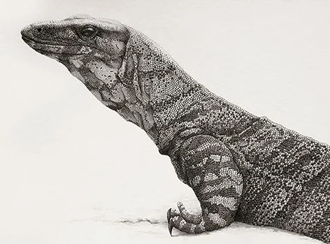 Andrew Howells Artist