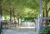 Dine at The Sir George | Fresh, Seasonal Dishes and Local Wines — The ...