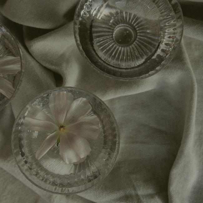 Services — Paige Gott