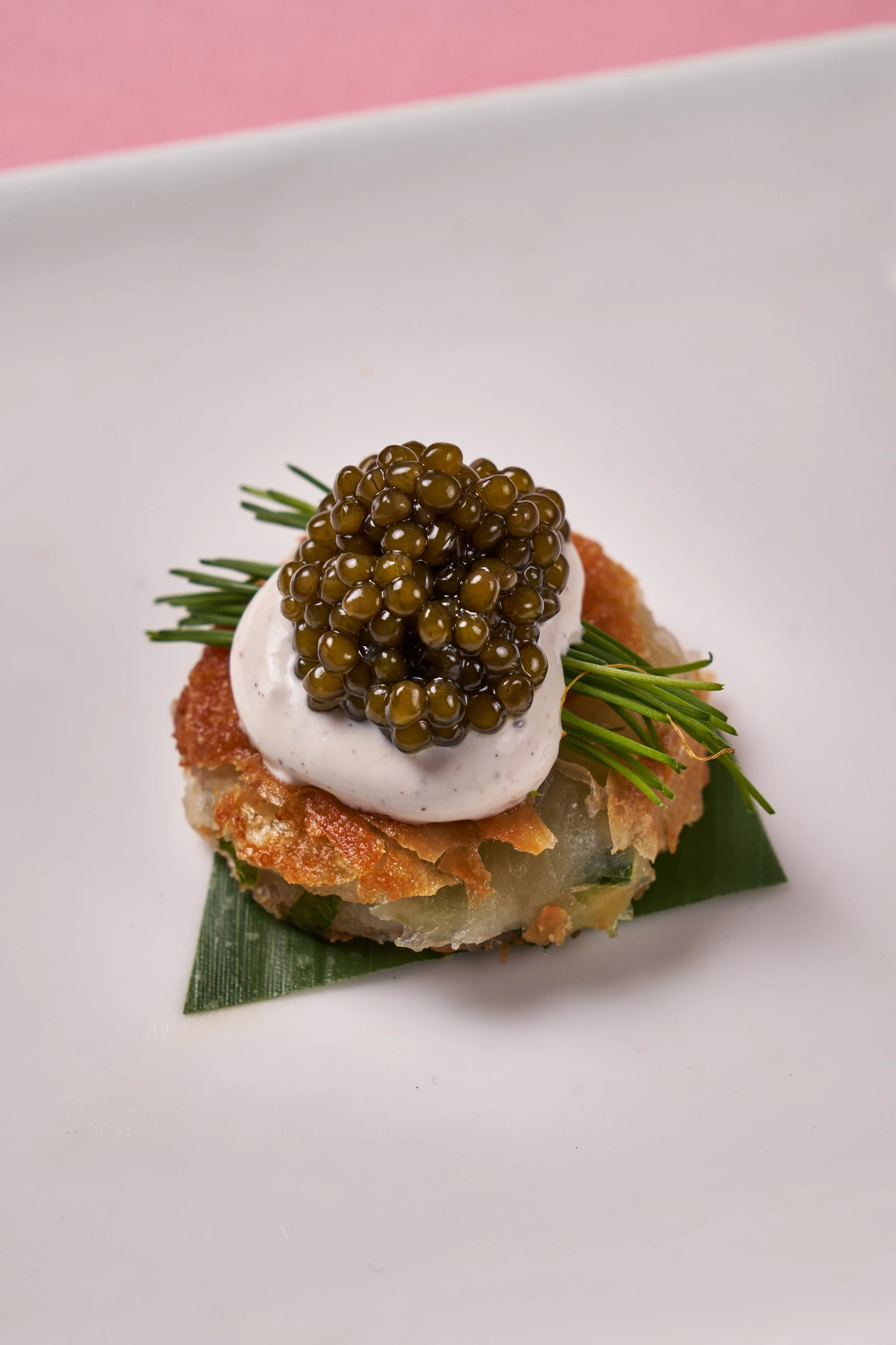 Cha Cha Tang | Discover Flavorful Dining