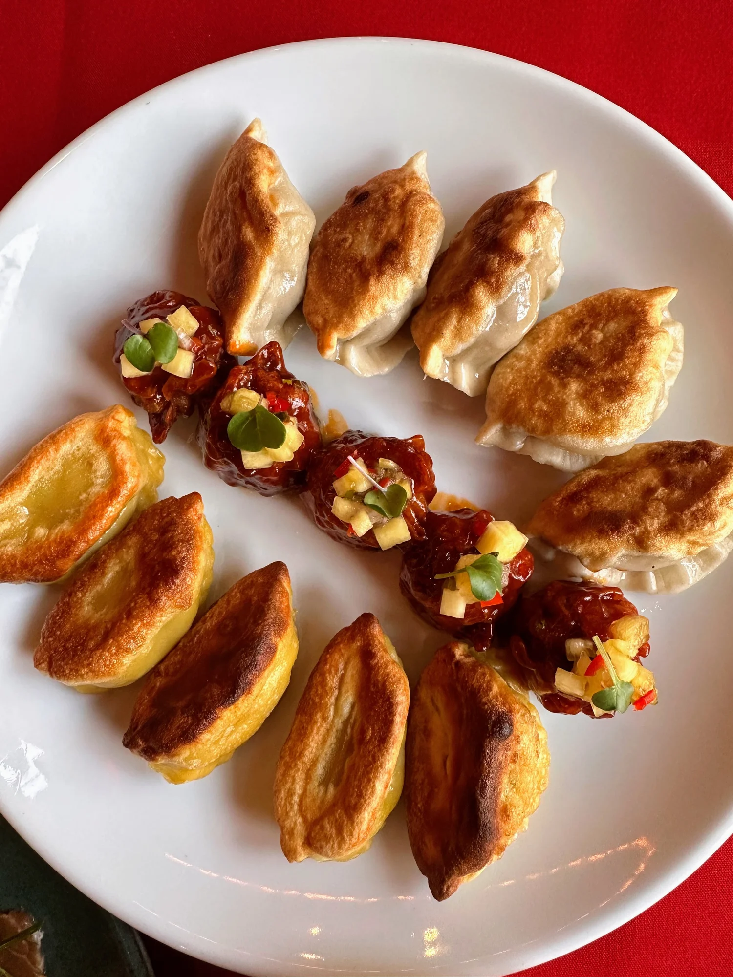 Cha Cha Tang | Discover Flavorful Dining