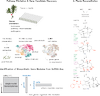 Research | Sattely Research Group — Sattely Group