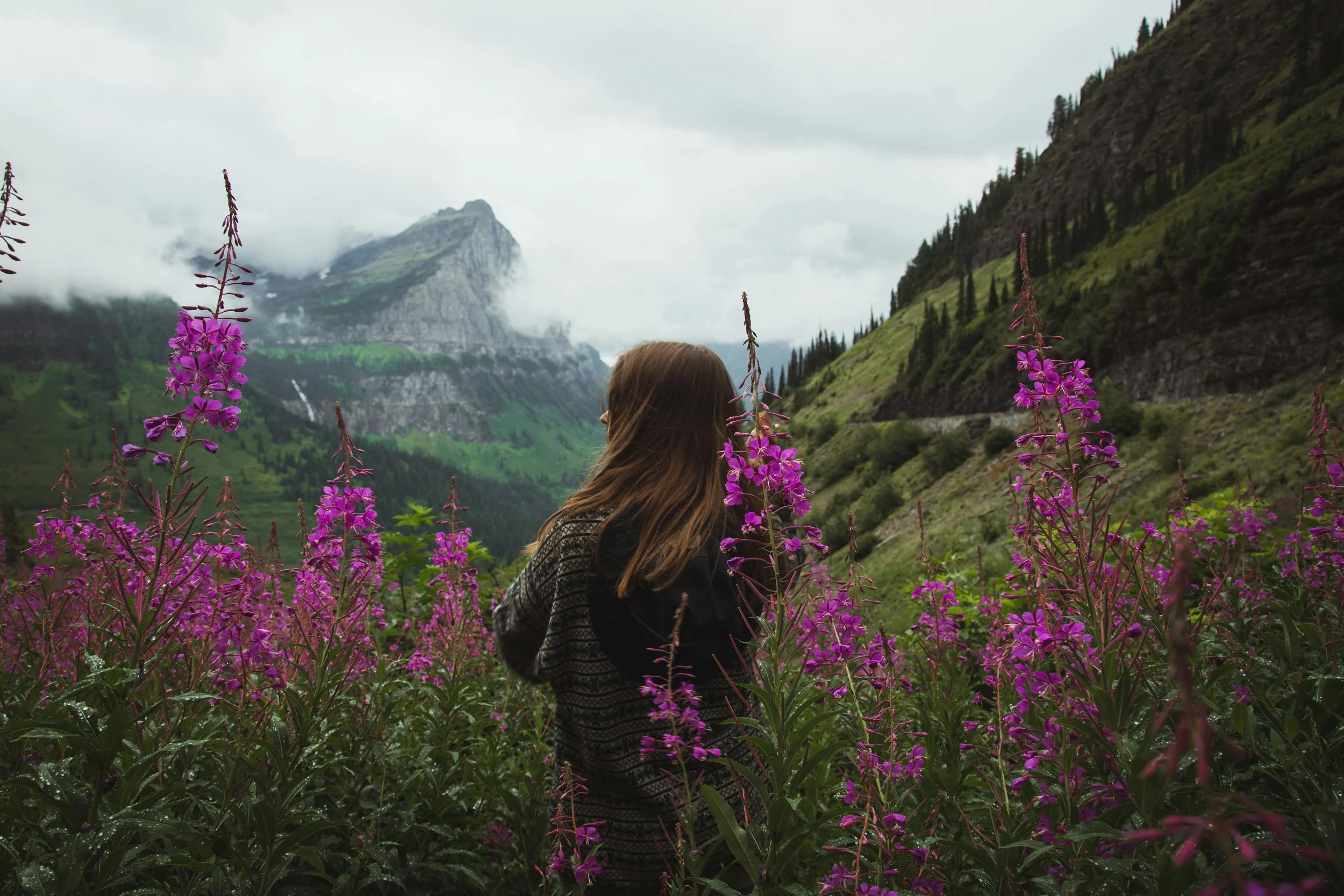 Wild Sense Psychology - Monica Dragosz