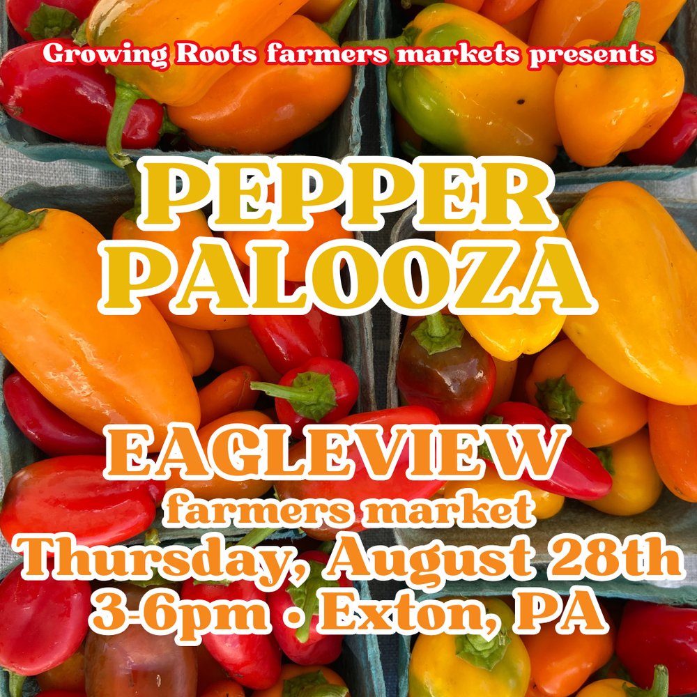 Upcoming Events — Eagleview Town Center in Exton, PA