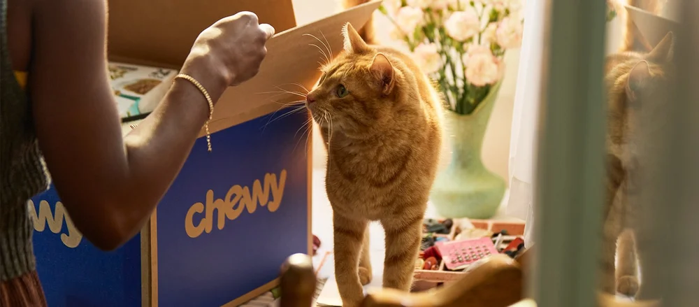How Chewy.com Compassionately Memorializes Your Beloved Pets ...