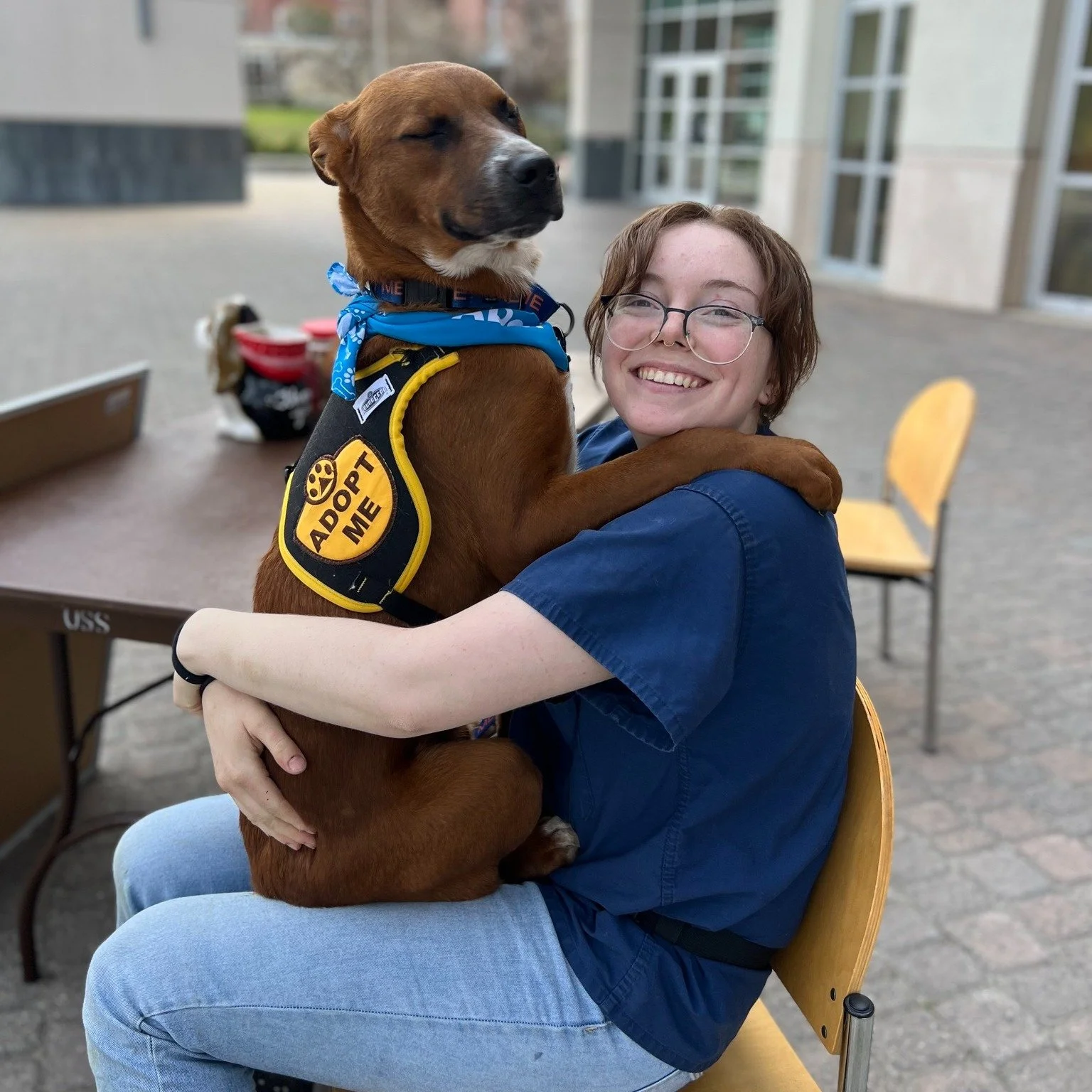 Careers — Whitman County Humane Society