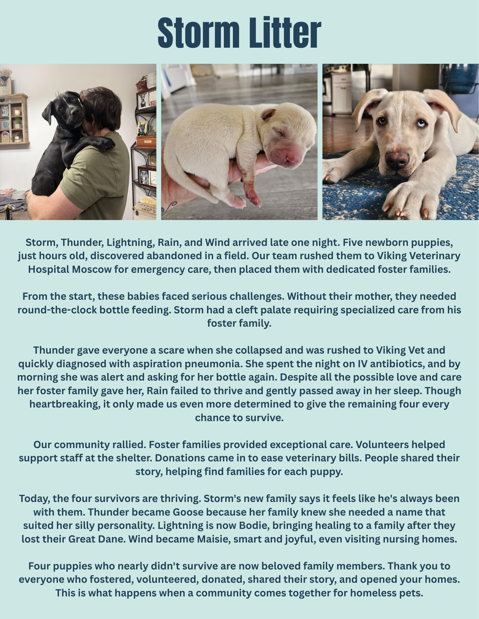 Annual Report | Learn More & Support Today — Whitman County Humane Society