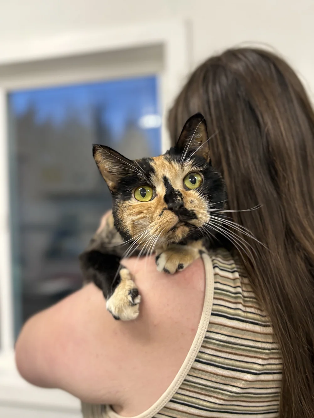 Other Ways To Give — Whitman County Humane Society