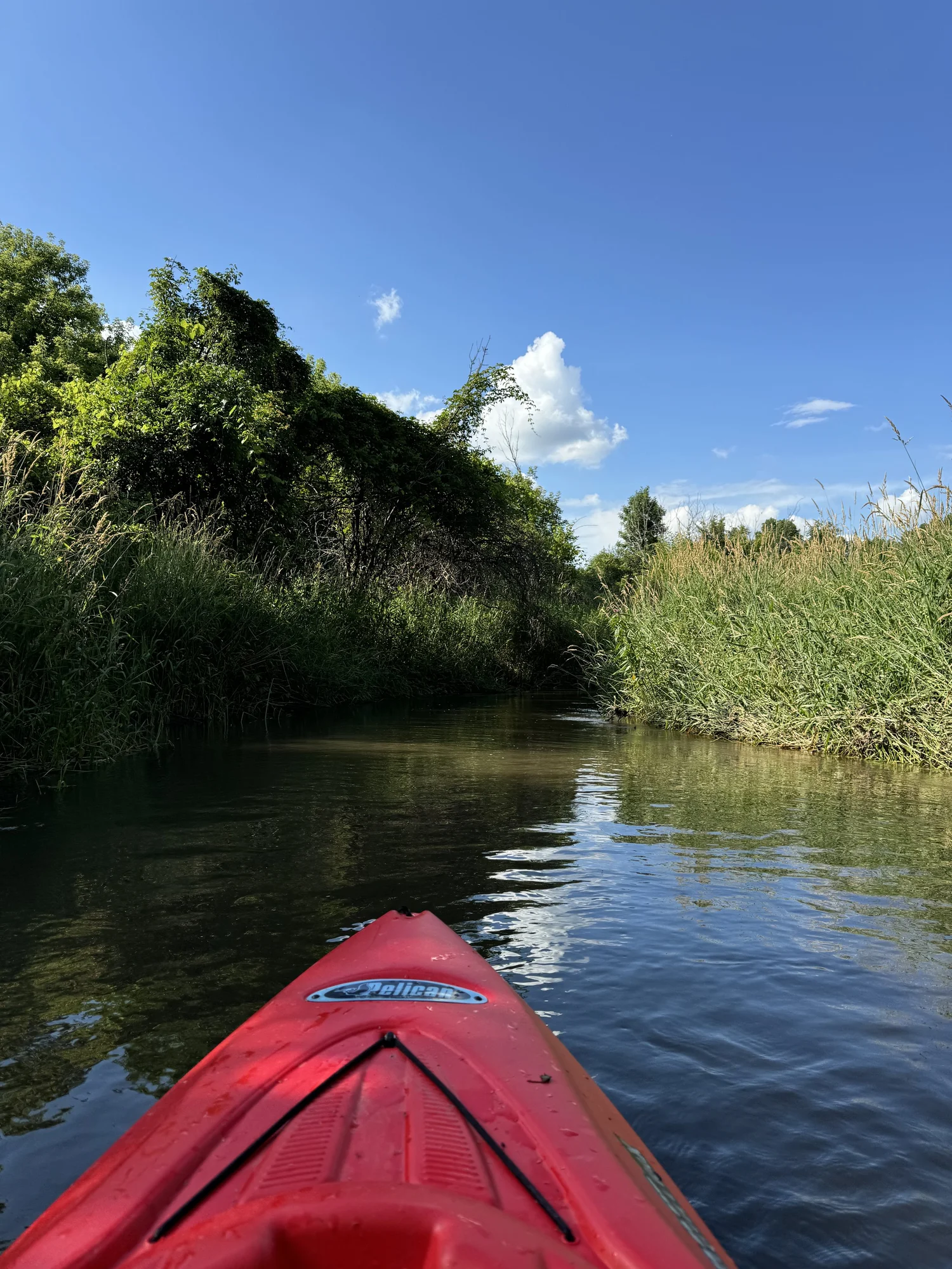 Life in Boyd — City of Boyd, Minnesota