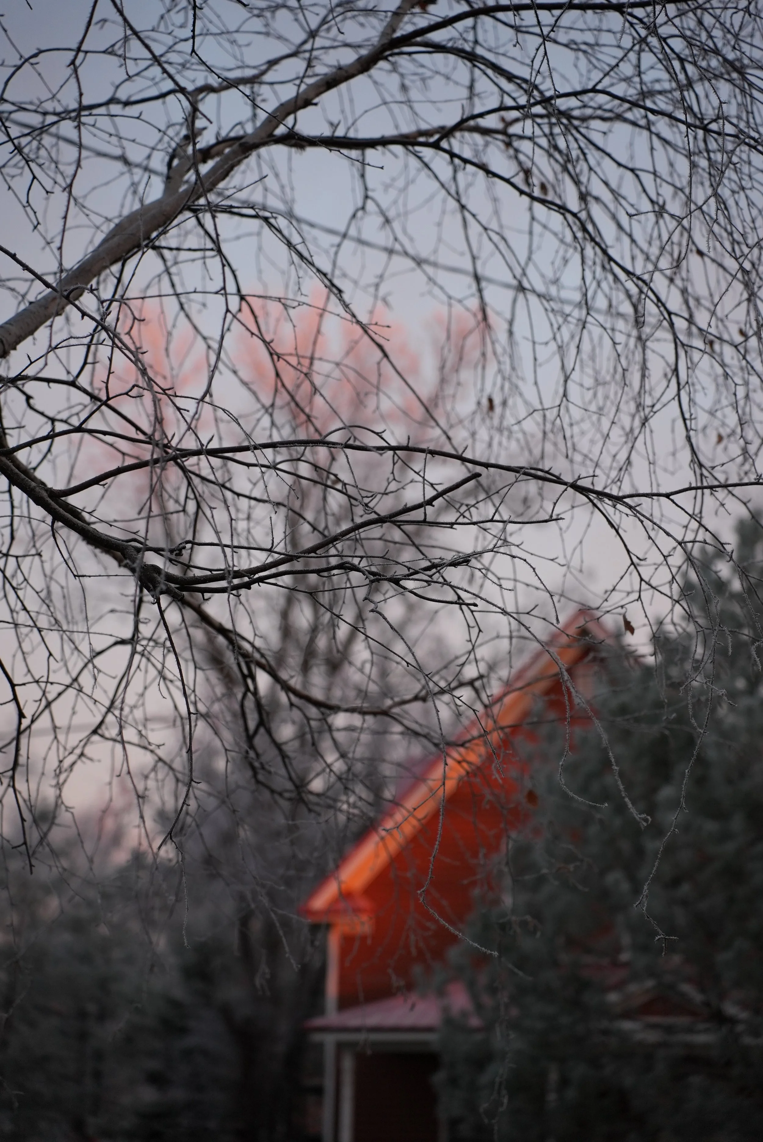 Life in Boyd — City of Boyd, Minnesota