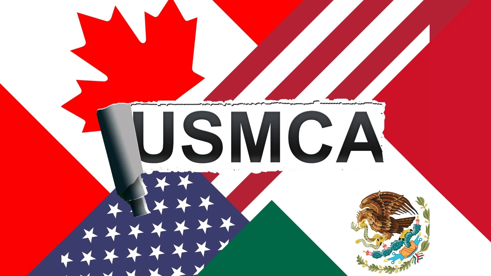 TN Visa Guide 2025: How Canadian and Mexican Professionals Can Work in ...