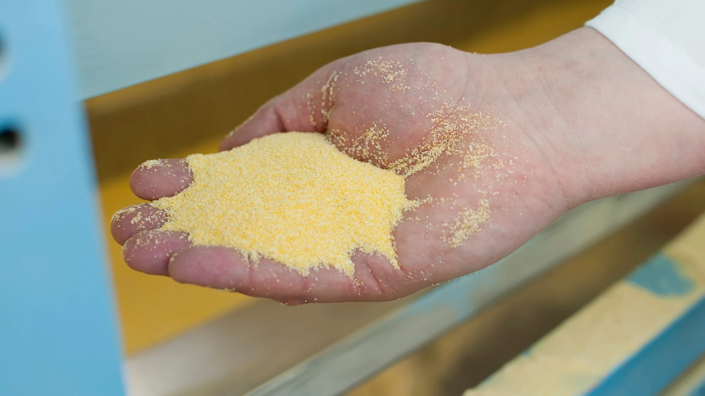 General 3 — ReFeed Innovations