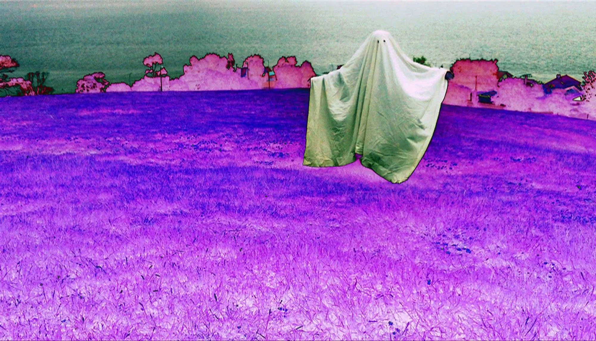 Sally Rees — Dream Burnie