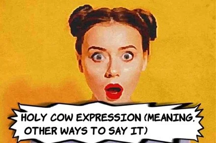 Holy Cow Expression (Meaning, Other Ways to Say It) — Responsefully