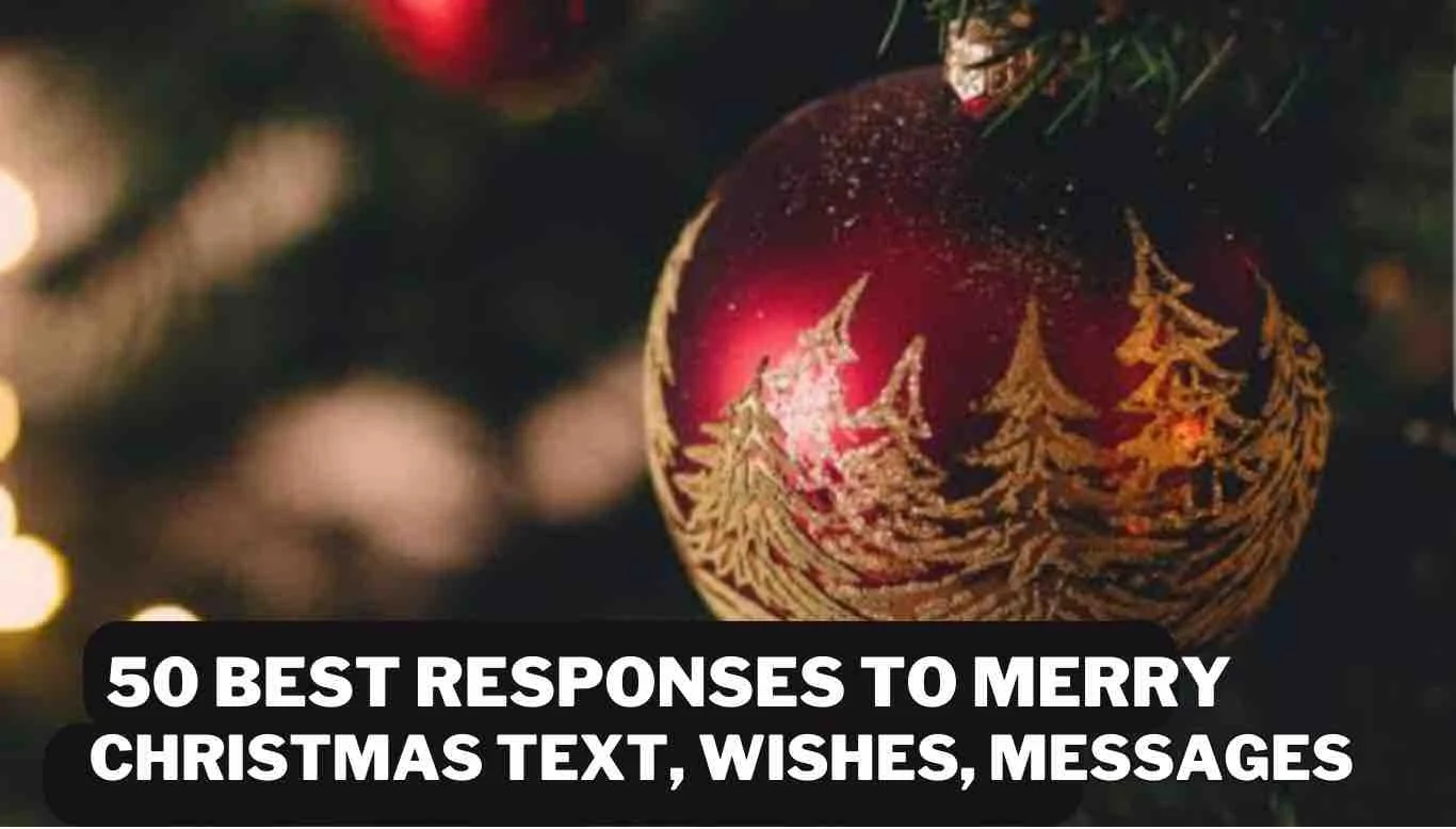 50 Best Responses to Merry Christmas Texts, Wishes, Messages (in 2025 ...