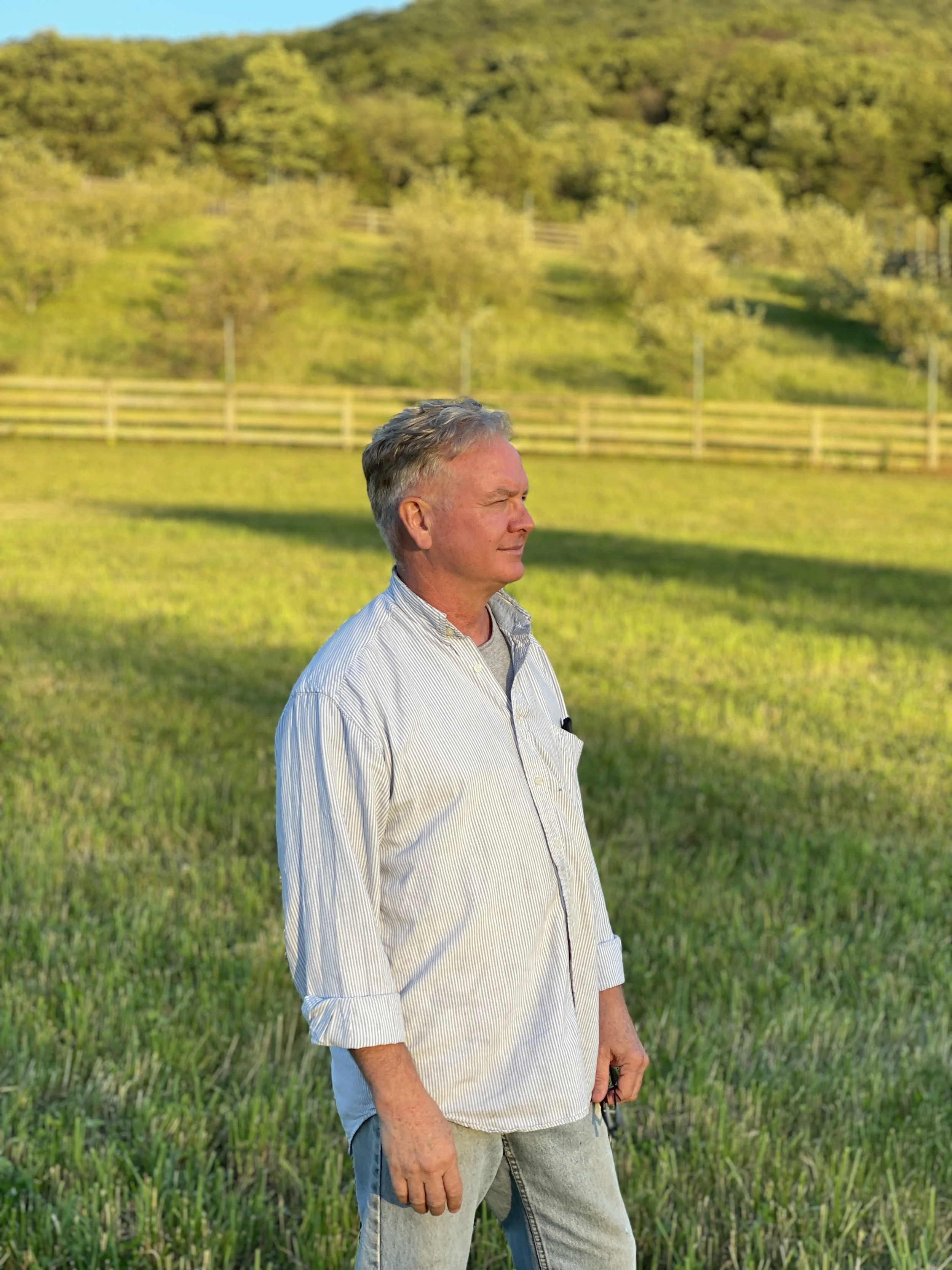 Laurel Spring Cidery: Pennsylvania's Premier Craft Cider Destination