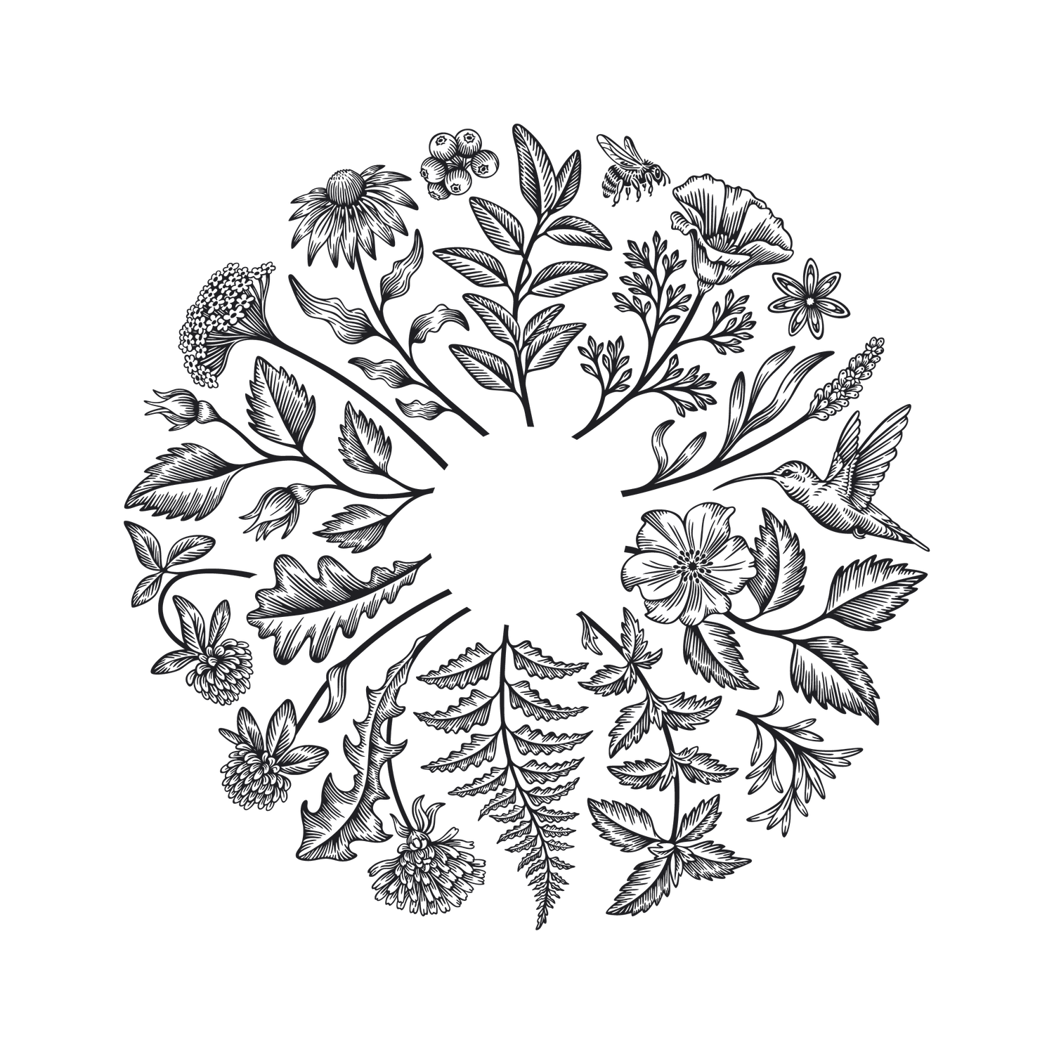 Soma Dome — VitalityLab