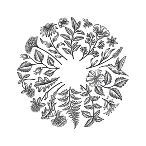 Soma Dome — VitalityLab