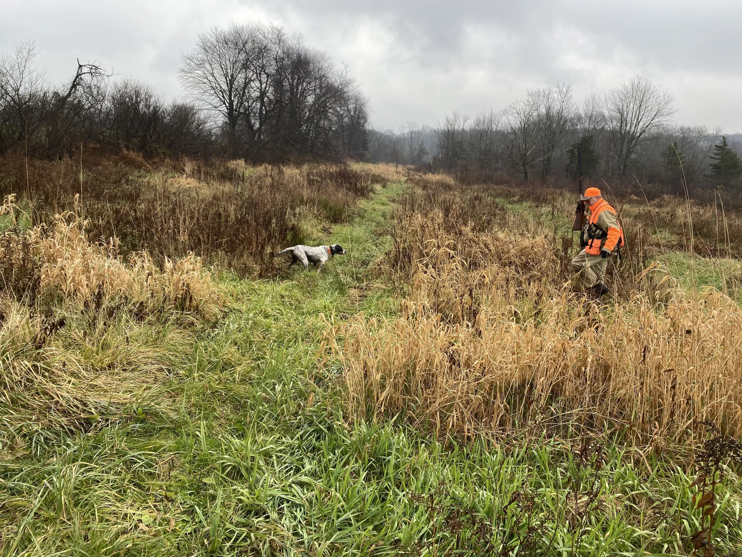 Home — Pomocook Hunting Preserve LLP Lebanon, Connecticut | Connecticut ...