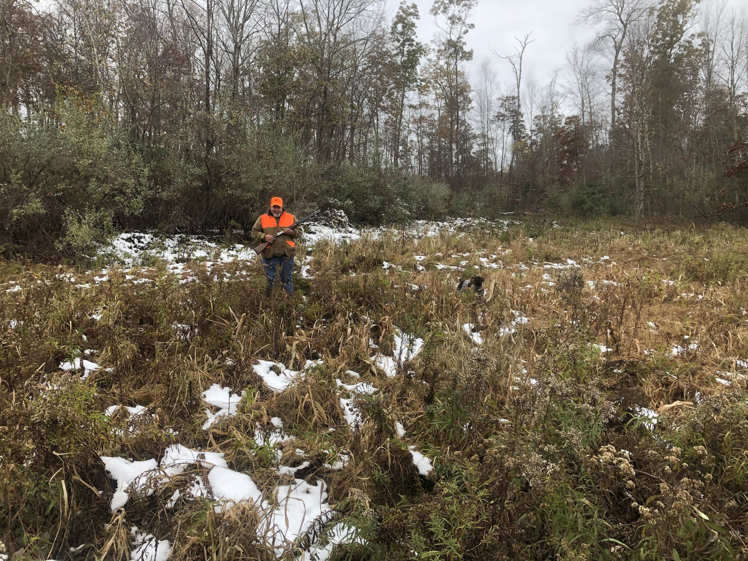 Guided Upland Bird hunts at Pomocook Hunting Preserve LLP in Lebanon ...