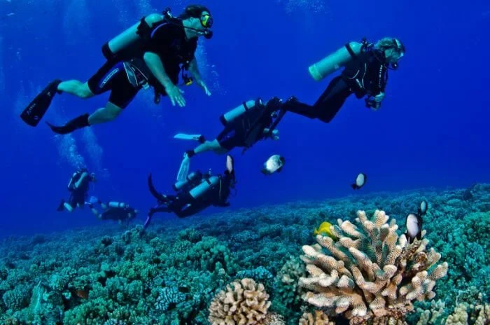 Maui Scuba