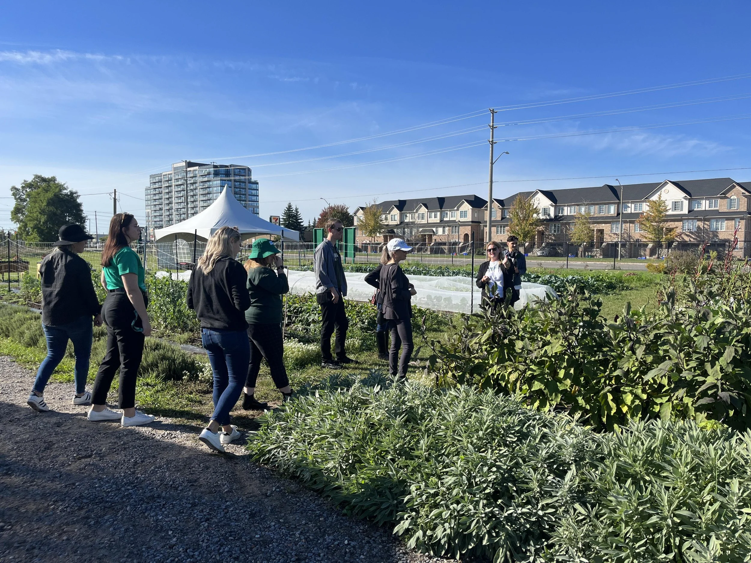Revolutionizing Campus Agriculture: How Durham College Tackles Food ...