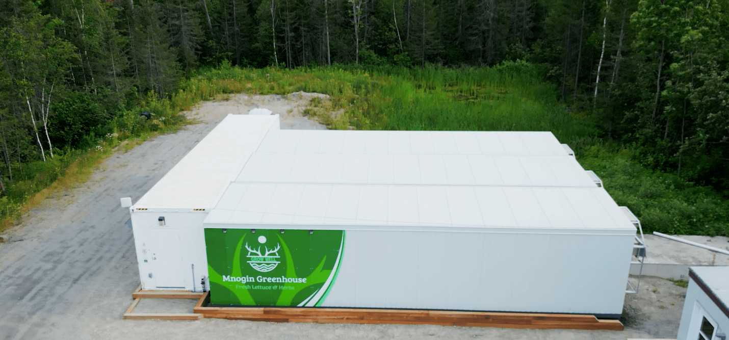 Mnogin Greenhouse: Empowering Food Sovereignty and Economic Growth in ...