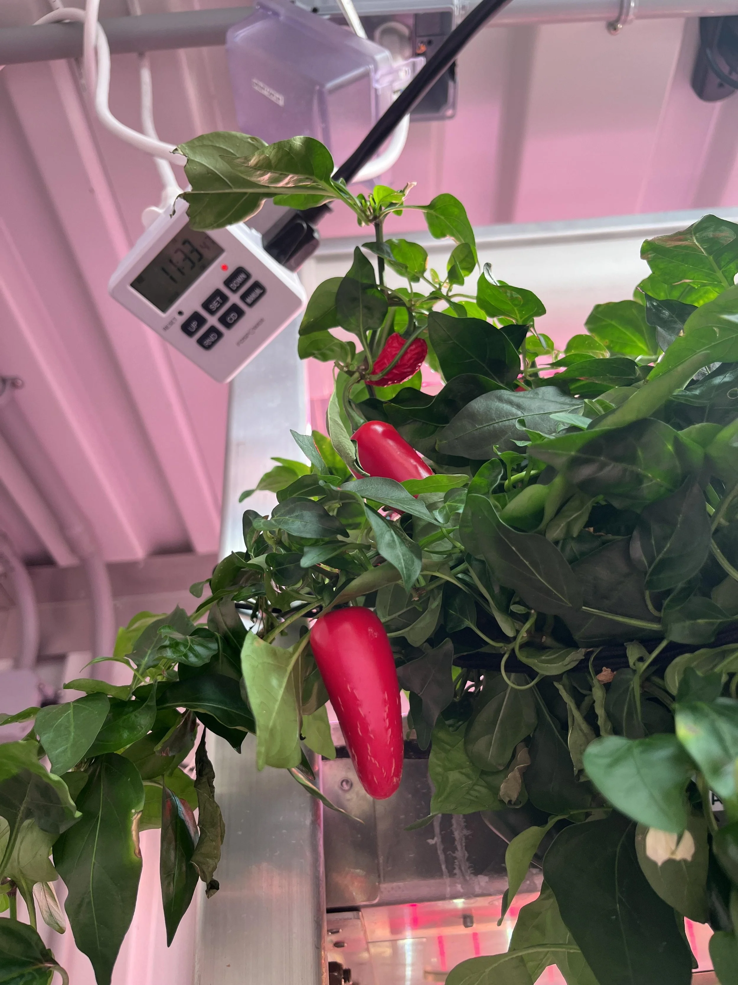 Revolutionizing Campus Agriculture: How Durham College Tackles Food ...