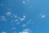 AASLA | Alberta Association of Surface Land Agents