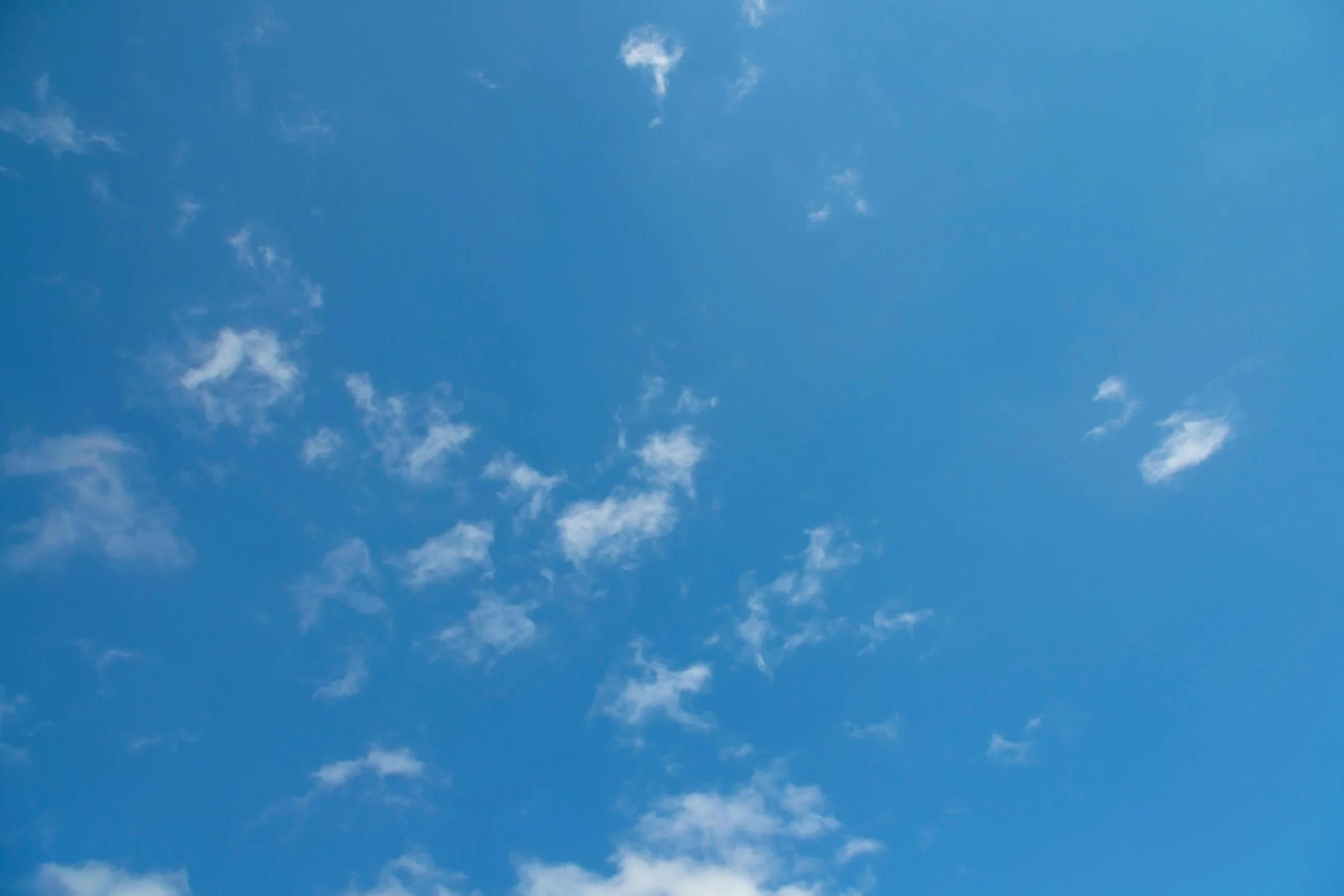 AASLA | Alberta Association of Surface Land Agents