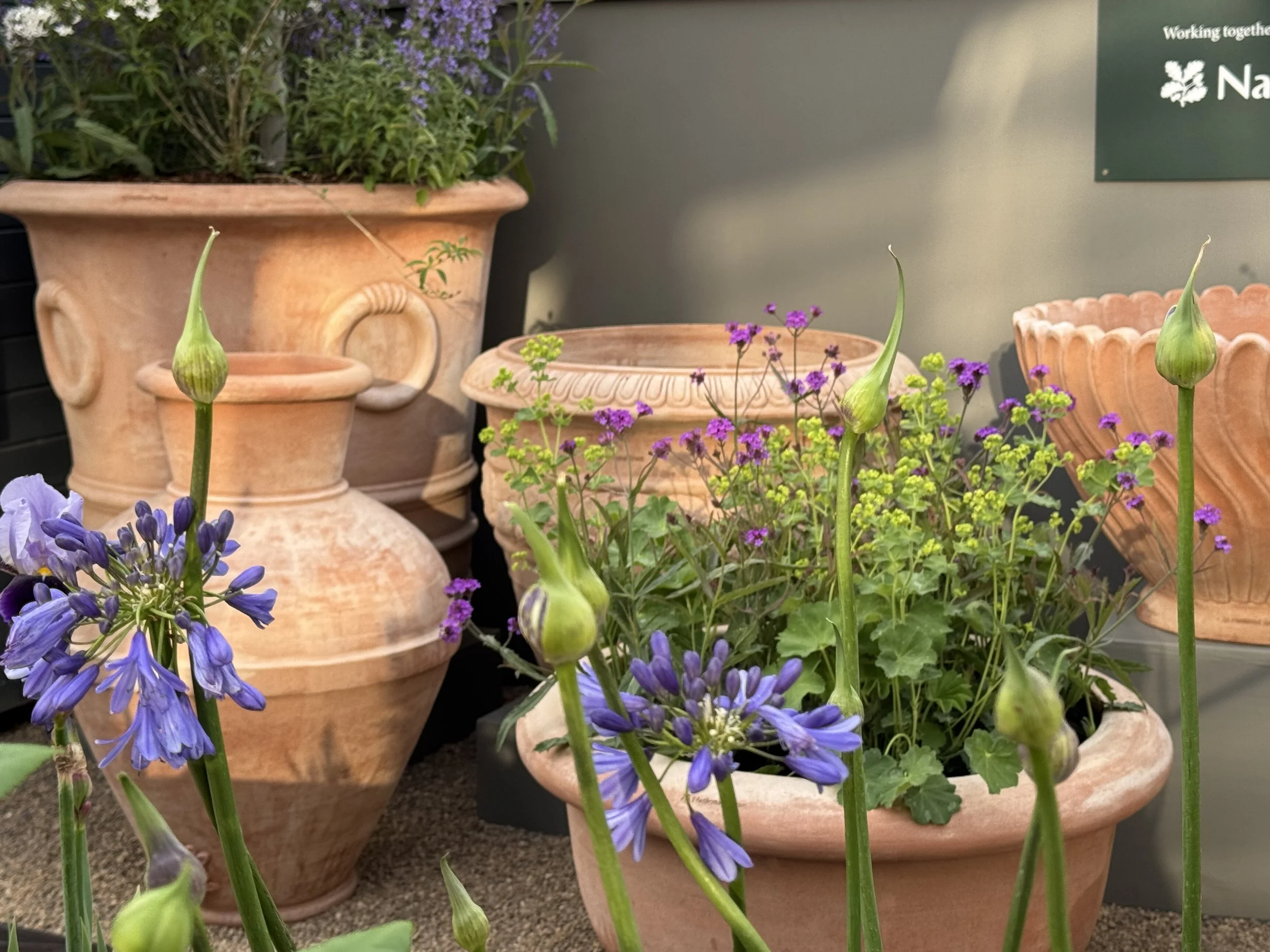 Italian Terracotta Pots & Planters | Vaso Toscano UK — Vaso Toscano ...
