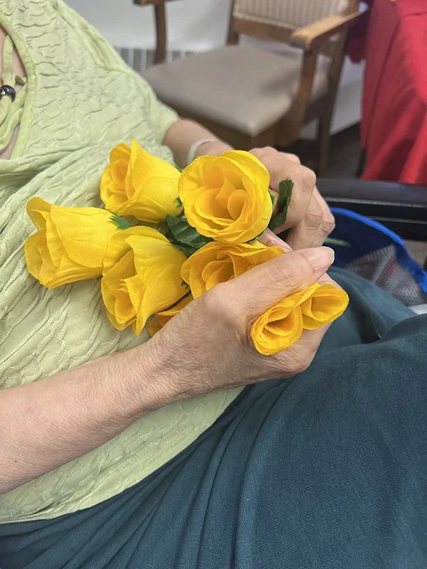 Mission Vision Goals — King Nursing Home