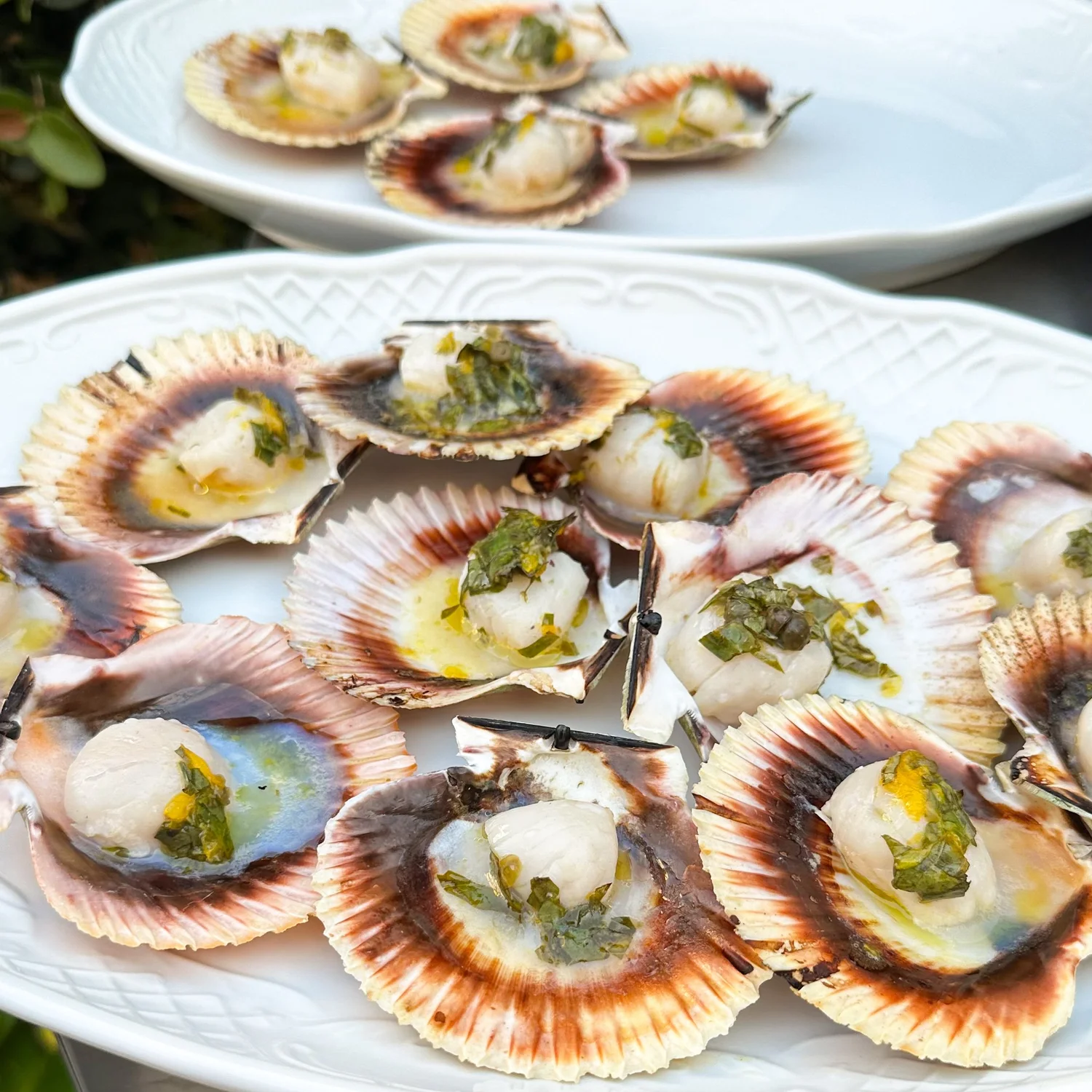 Grilled Scallops with Orange, Basil & Capers — Cooking in Color