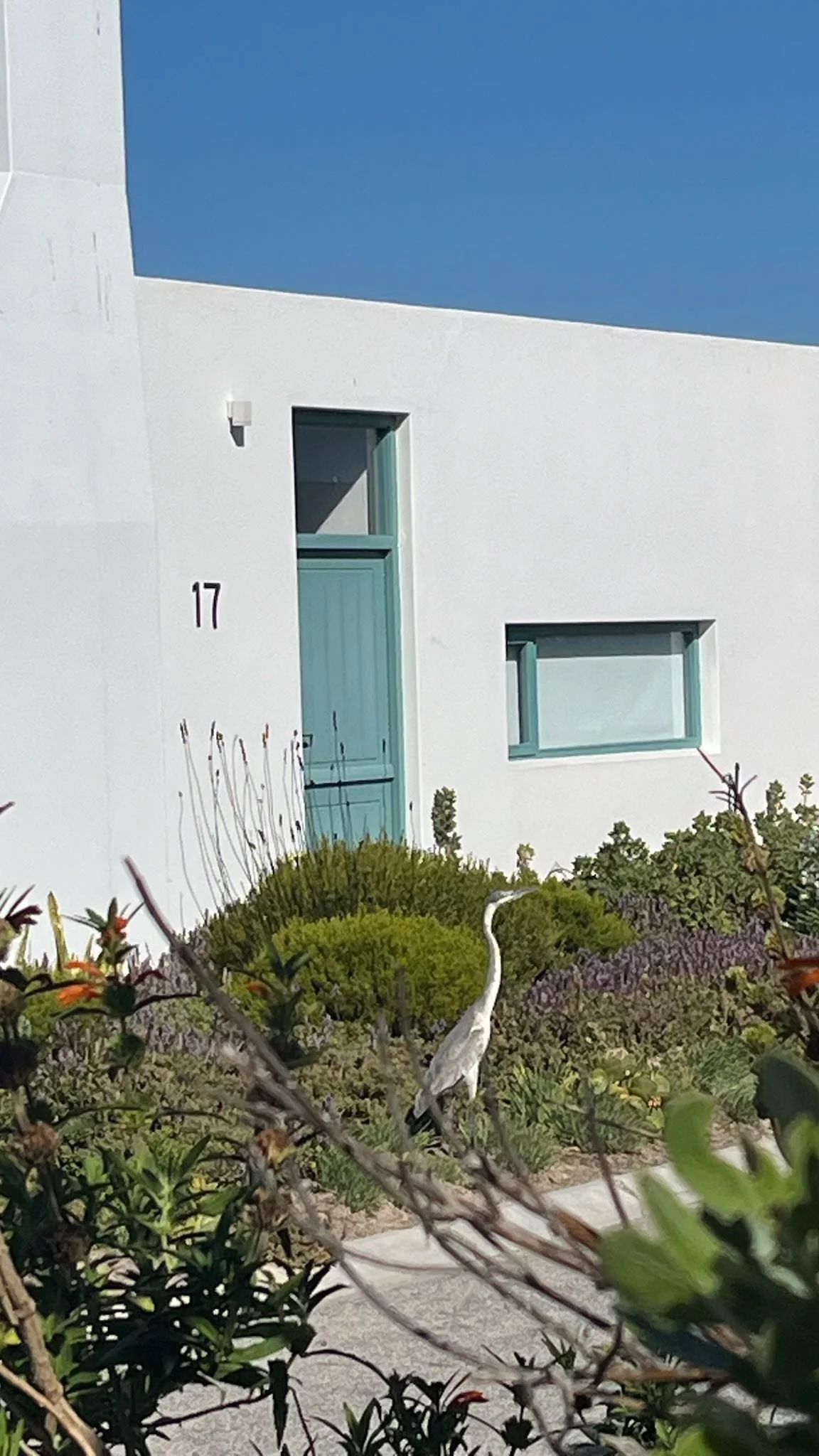 The Cottage Collection - Paternoster Accommodation Rentals