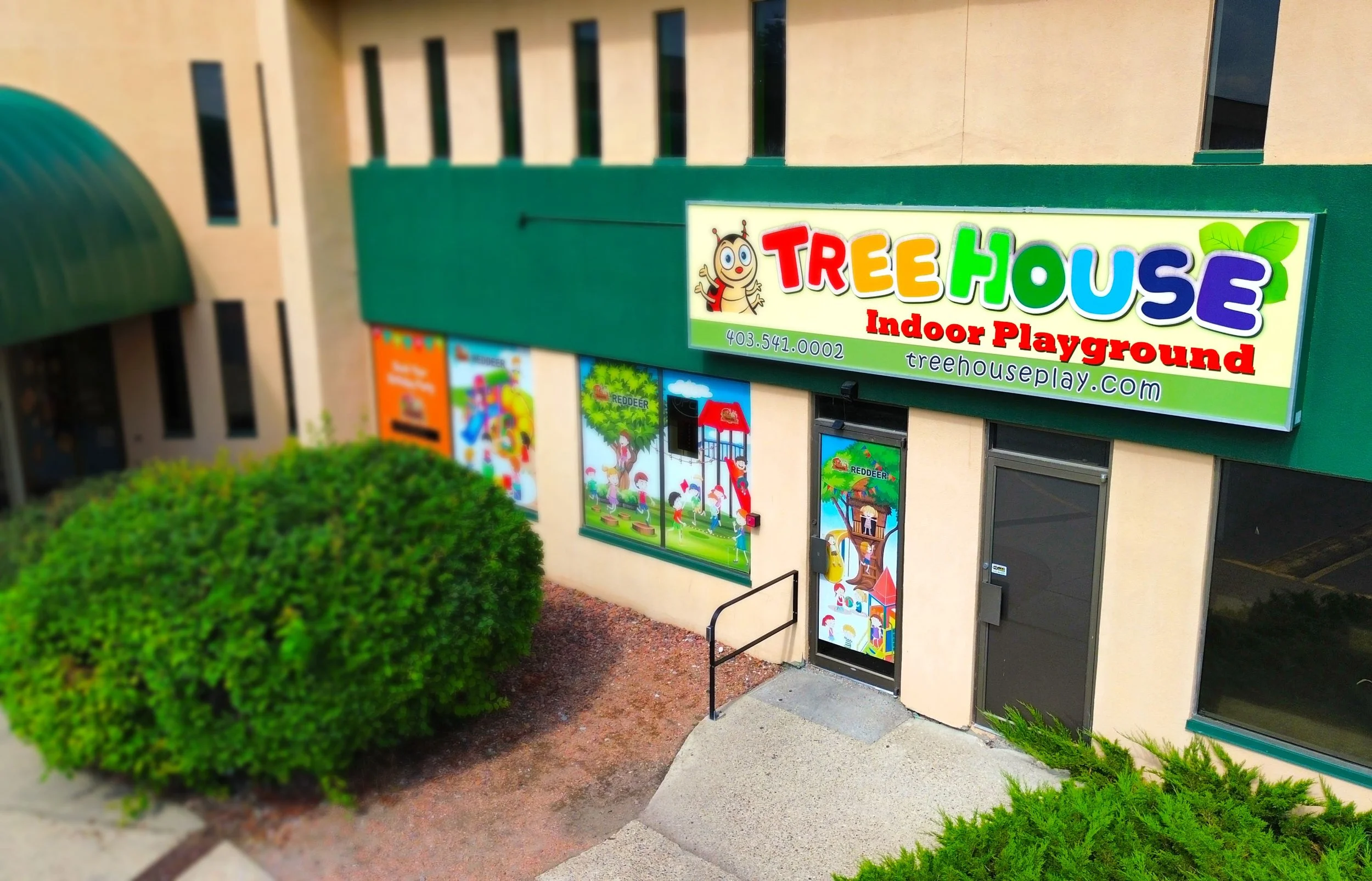 Tree House Playground