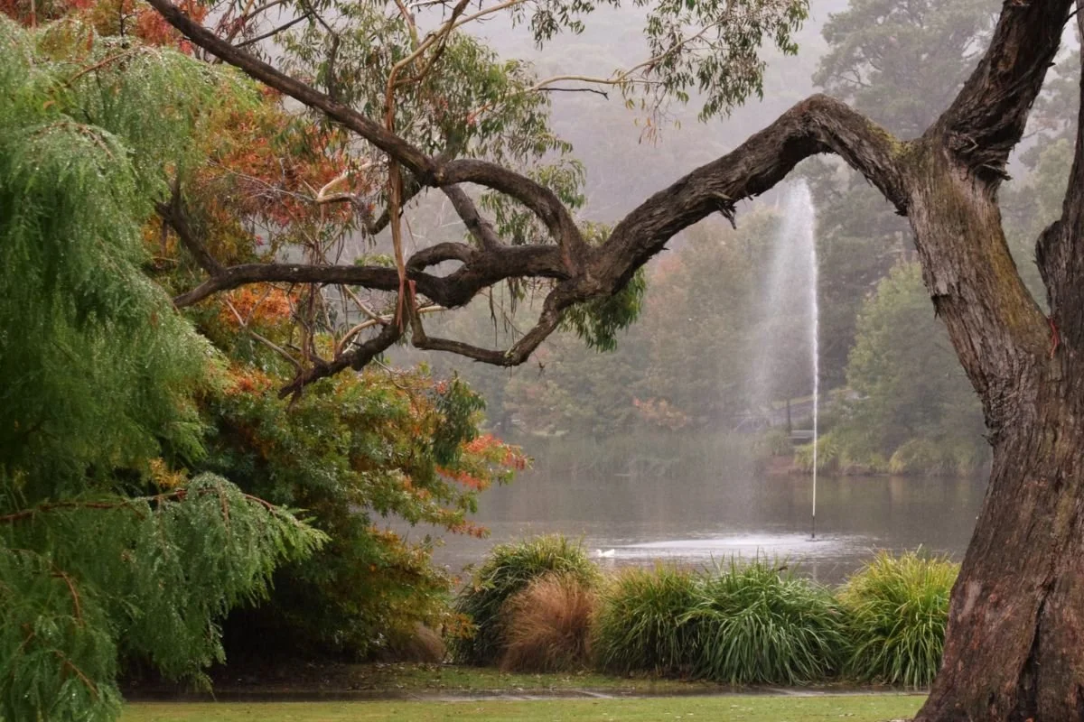 A Guide to Mittagong — Fitzroy Inn Historic Retreat
