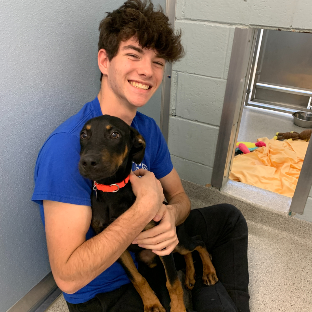 In-Shelter Volunteering — Naperville Area Humane Society