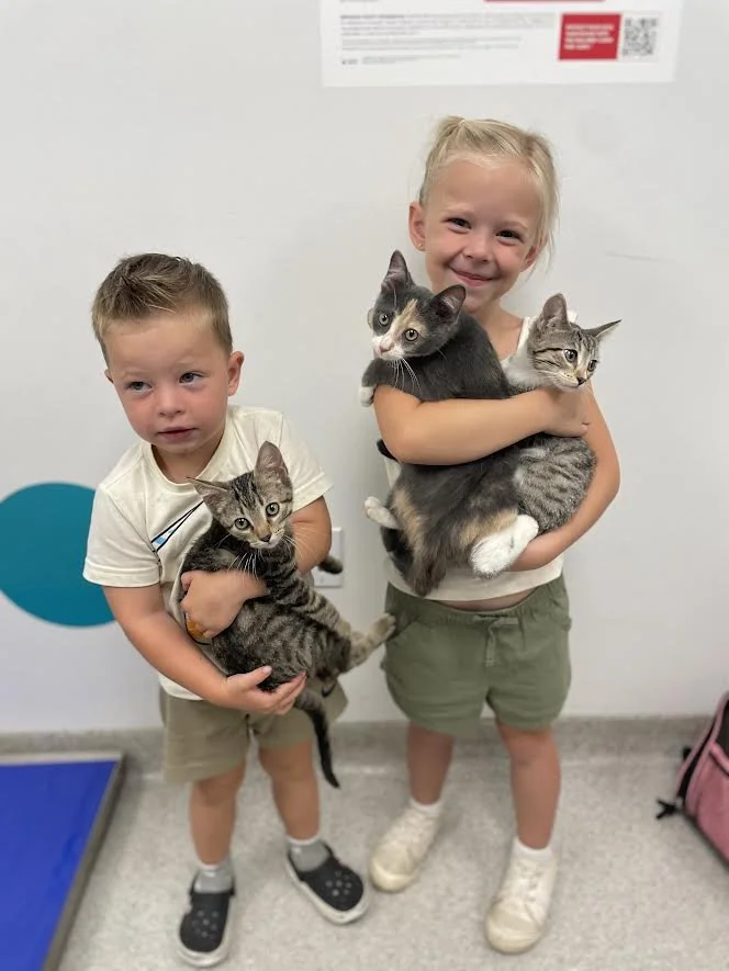 About Fostering — Naperville Area Humane Society