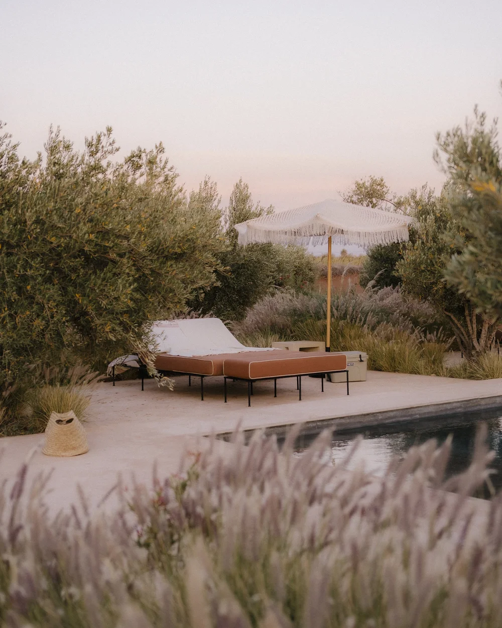 Experience Farasha | Farasha Farmhouse
