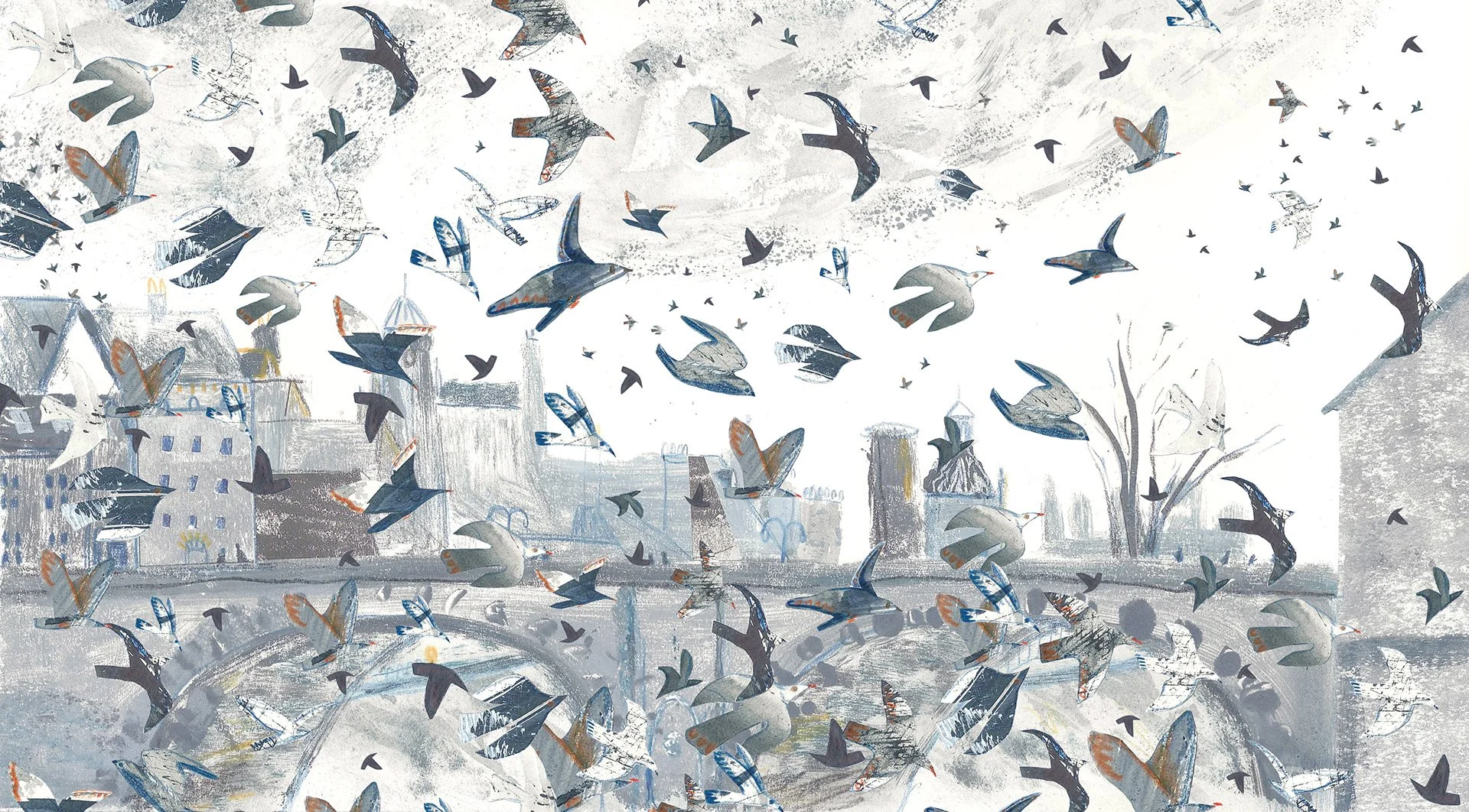 Jess Mahy, Illustrator — Children's Books North Agency