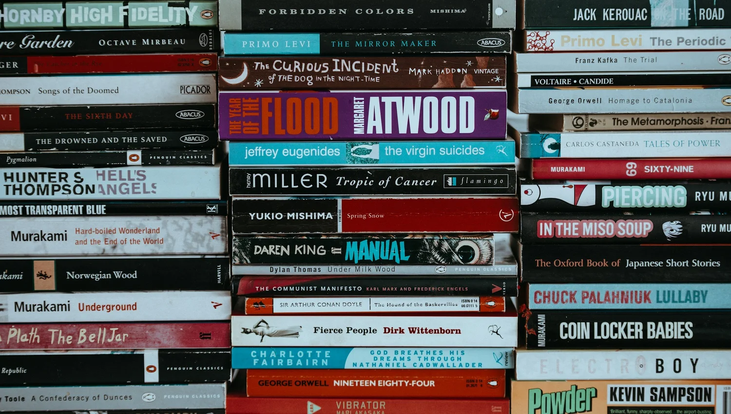 About Novellum Magazine — Novellum Magazine