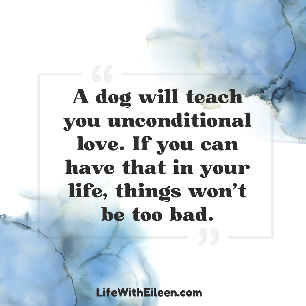 15 Inspirational Dog Quotes — Life With Eileen