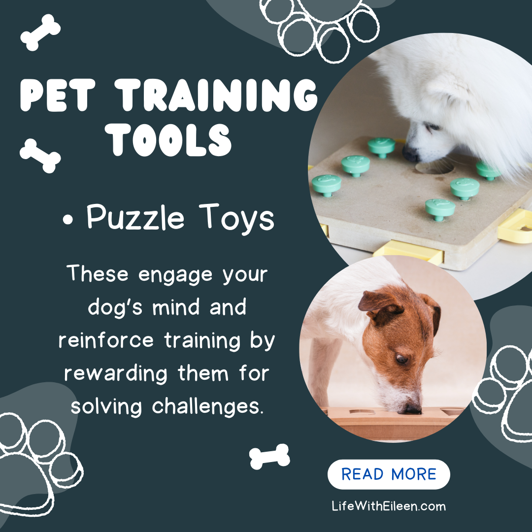 Essential Pet Training Tools Every Pet Owner Should Have — Life With Eileen