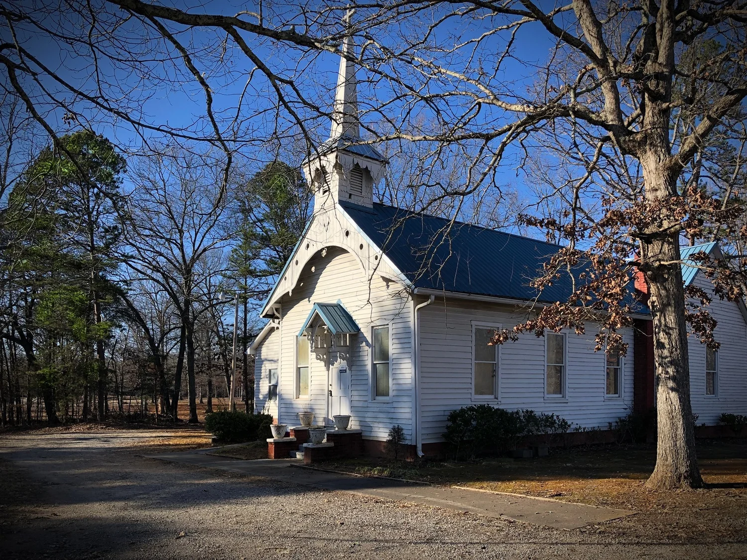 The Year Ahead in HEARTS — HEARTS Collaborative, Inc.