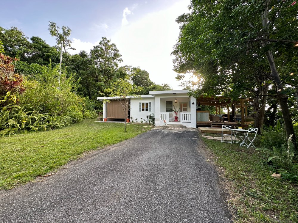 14 Acre Organic Mountain Farm for Sale