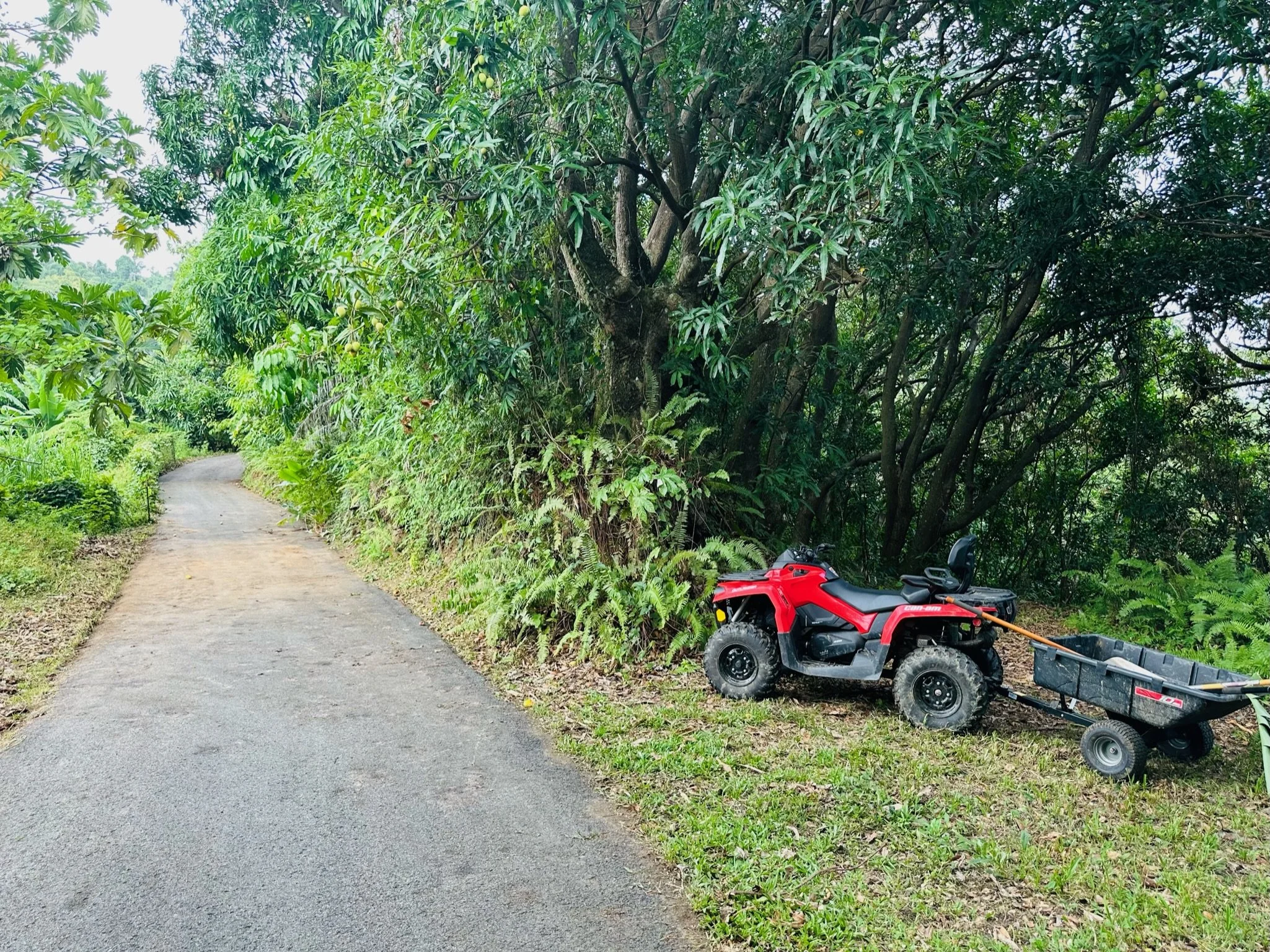 14 Acre Organic Mountain Farm for Sale