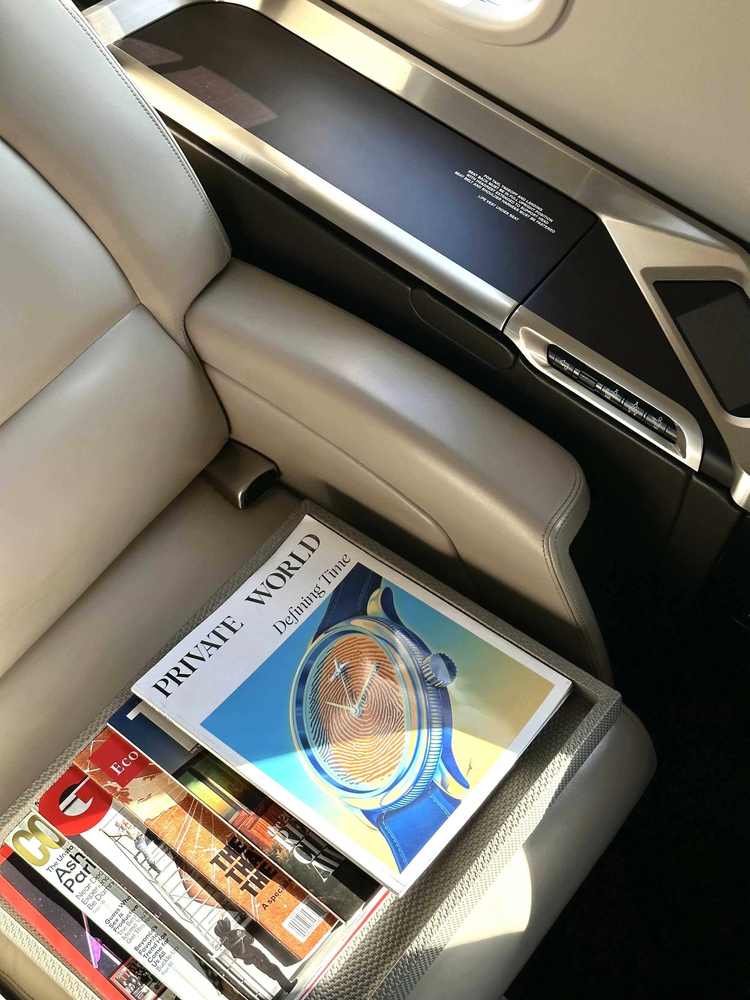 Professional Aircraft Detailing