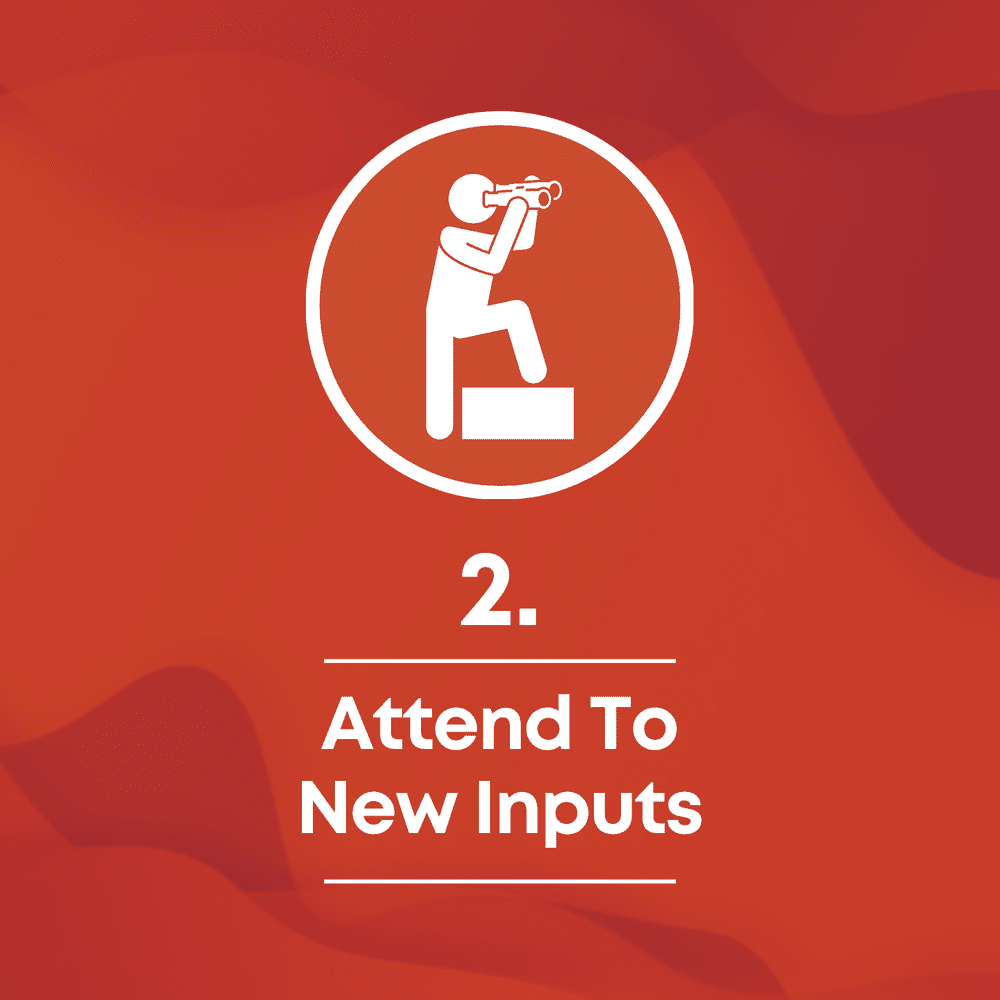 Mac.Rob Learner Model