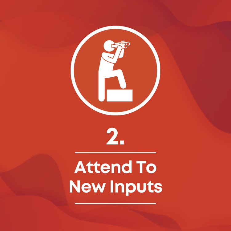 Mac.Rob Learner Model